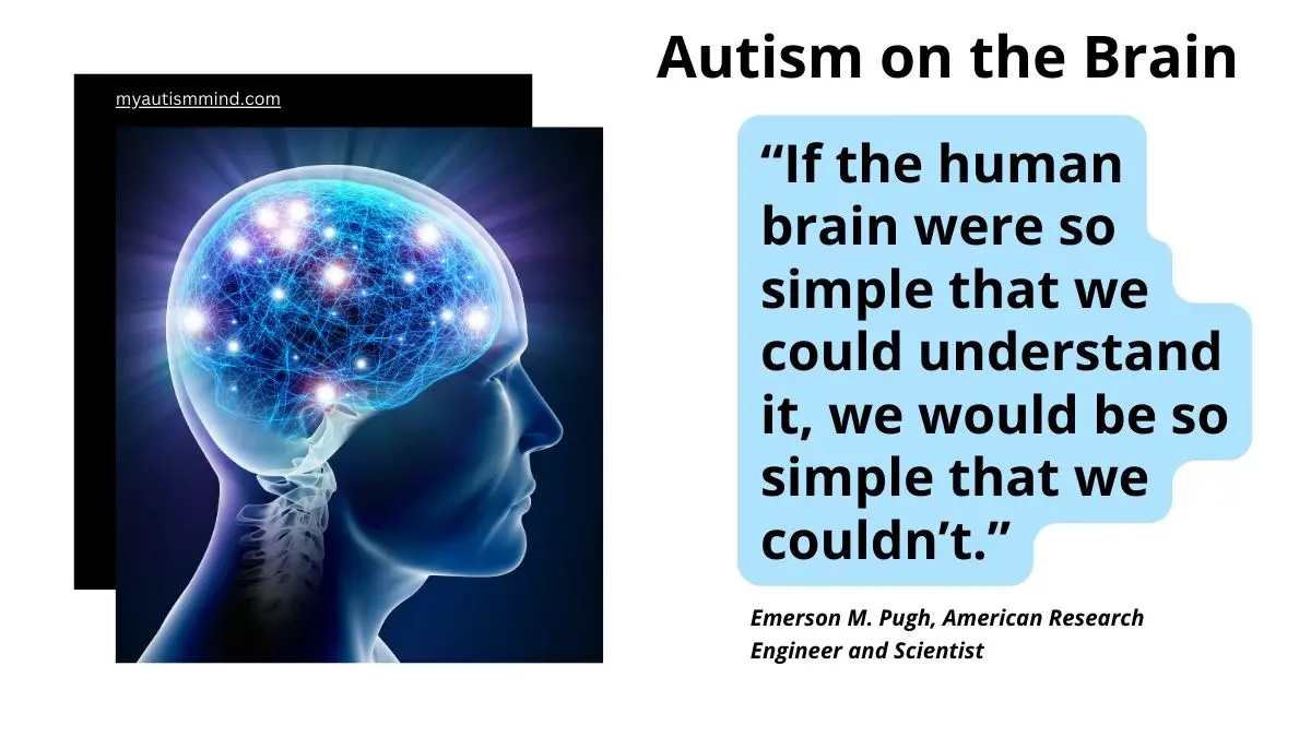 What's the True Meaning Behind Autism on the Brain?