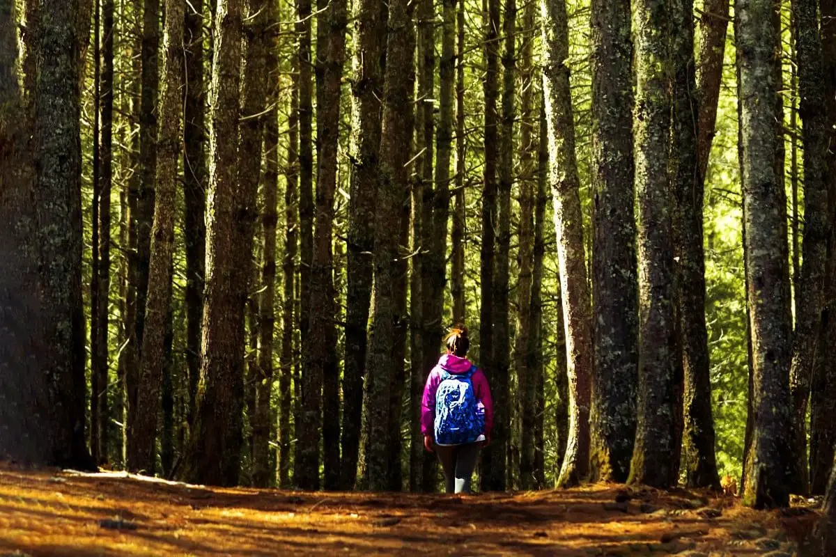 Autism Elopement is Stuff of Nightmares: What to Know