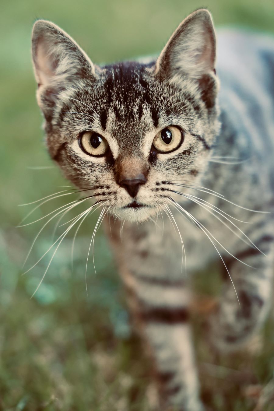 Staring Meaning: Unlocking the Secrets of Intense Gazes